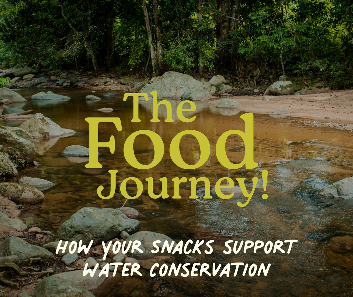 How Your Snacks Support Water Conservation – GoodSamFoods