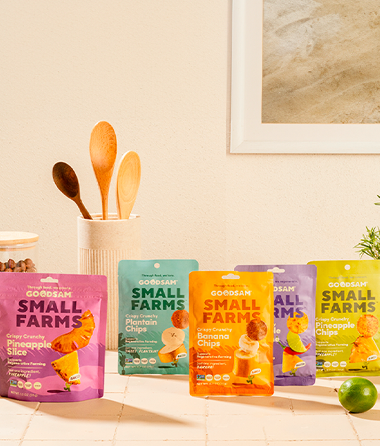 Crispy Crunchy Fruit Chips – GoodSamFoods